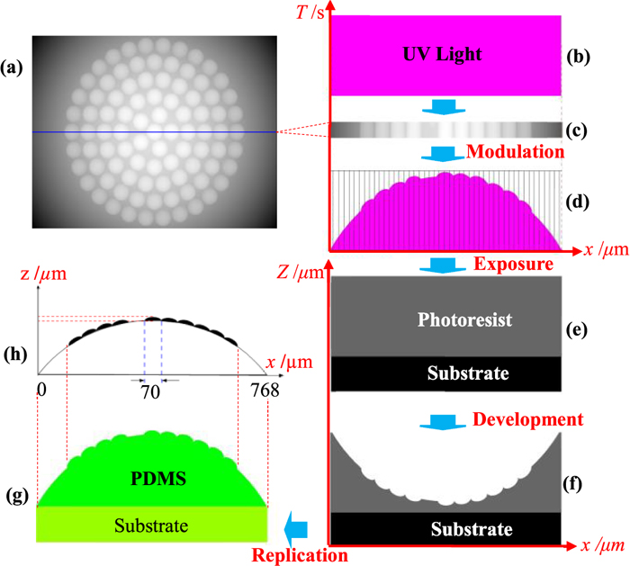 Fast fabrication of curved microlens array using DMD-based lithography | AIP Advances | AIP ...