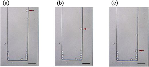 A cell sorting and trapping microfluidic device with an interdigital ...
