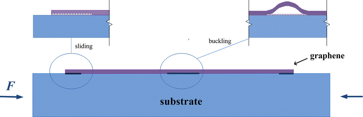 Theoretical investigations of the interfacial sliding and buckling of graphene on a flexible ...