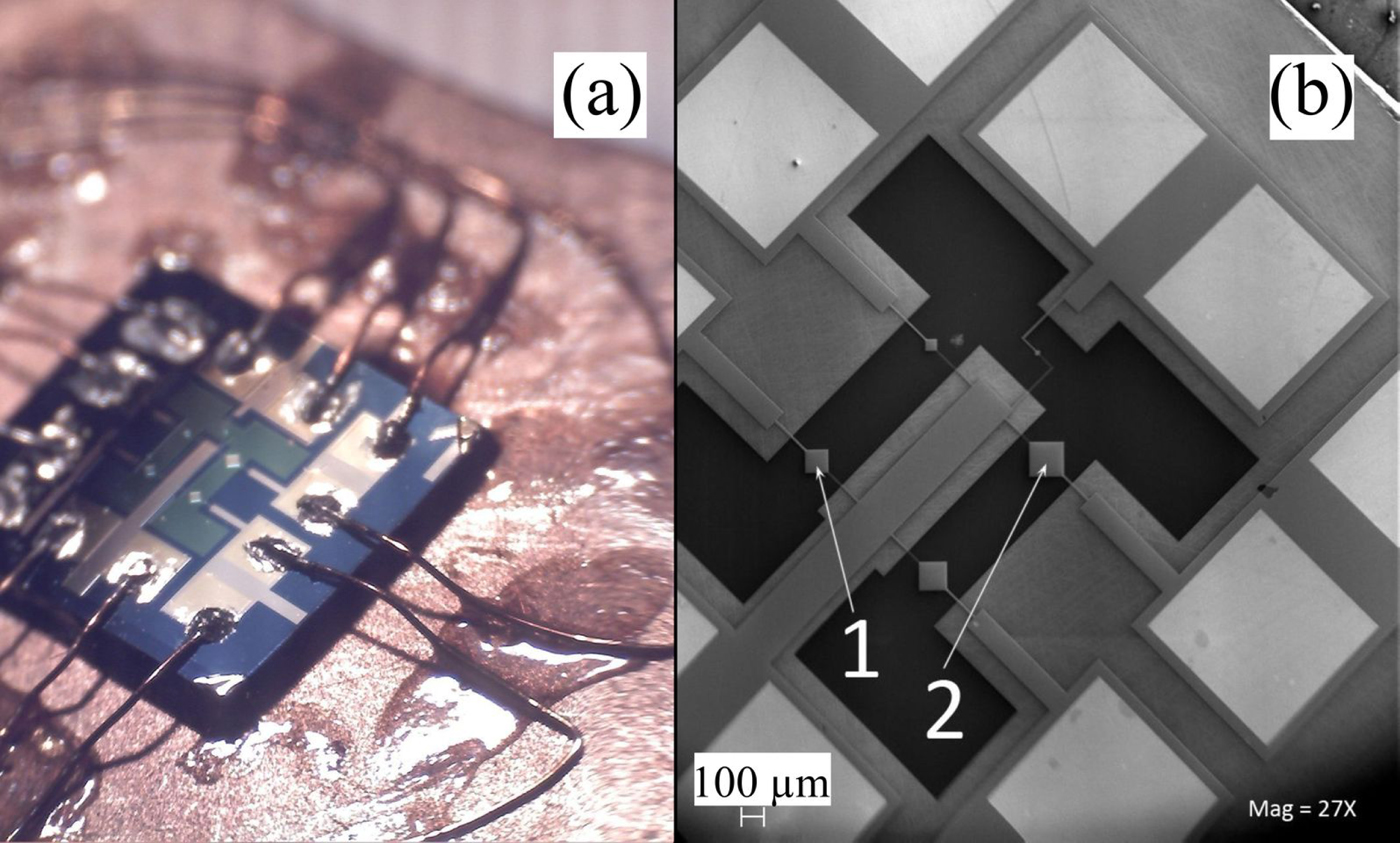 Observation of nuclear gamma resonance with superconducting tunnel ...