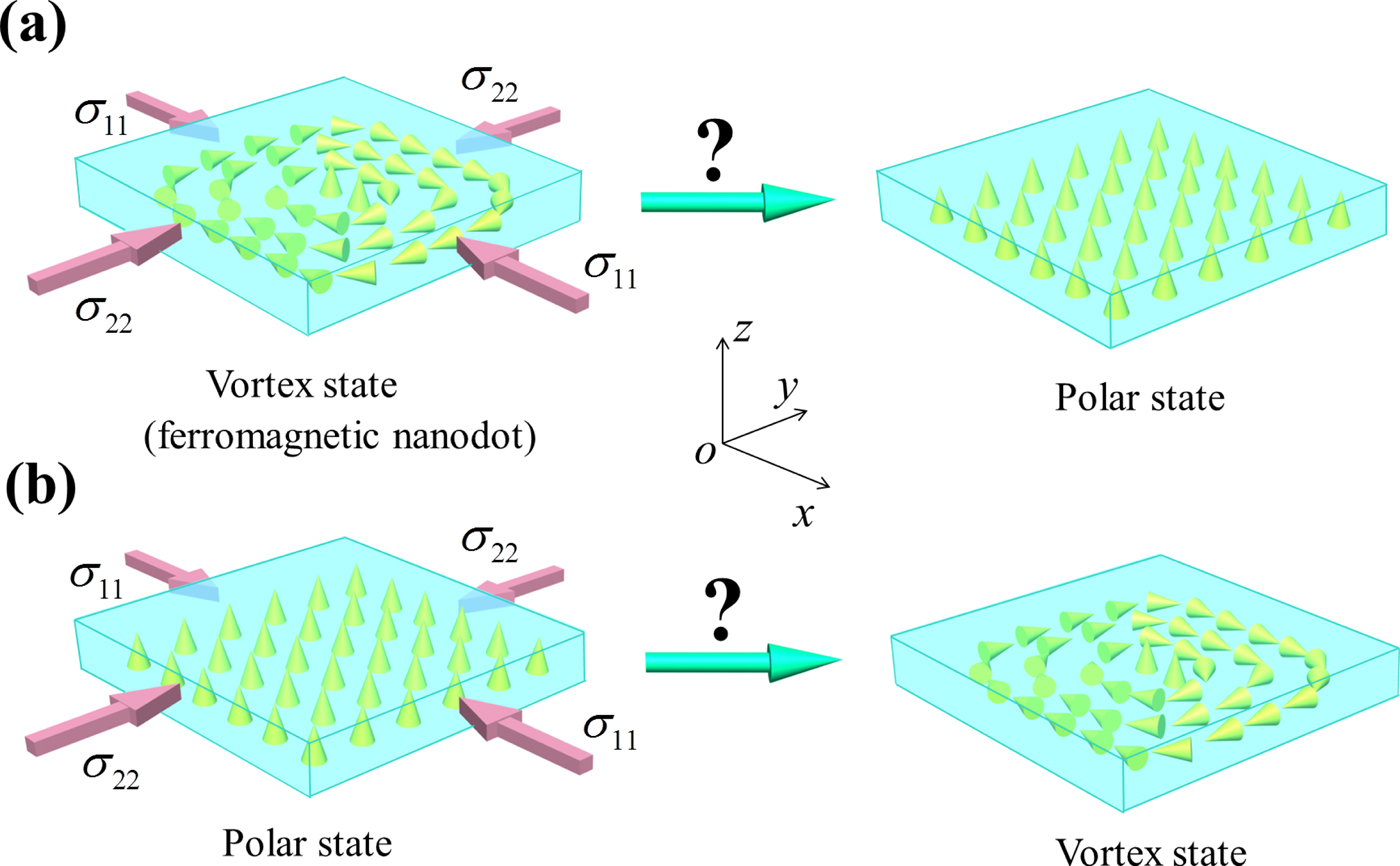 Domain stability and polar-vortex transformations controlled by ...