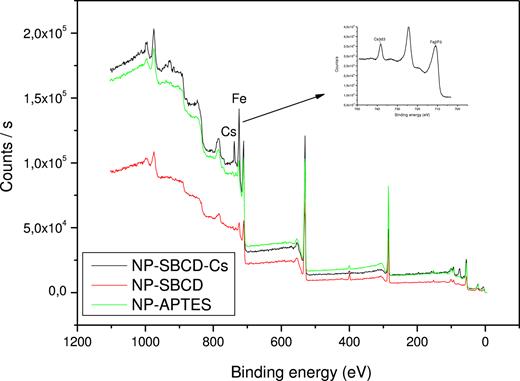 Functionalized magnetic nanoparticles for the decontamination of water polluted with cesium ...