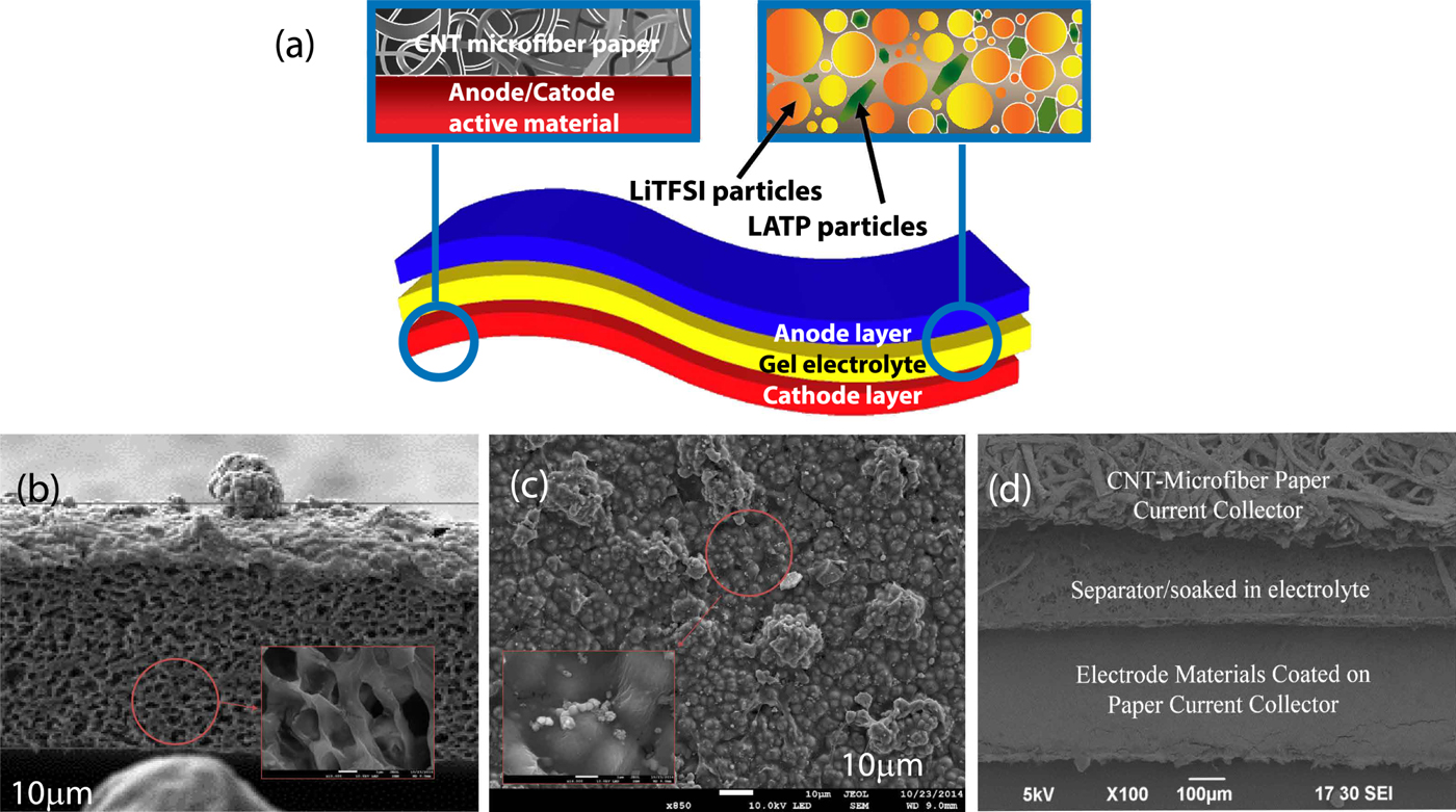 Poly(vinylidene fluoride-hexafluoropropylene) polymer electrolyte for ...