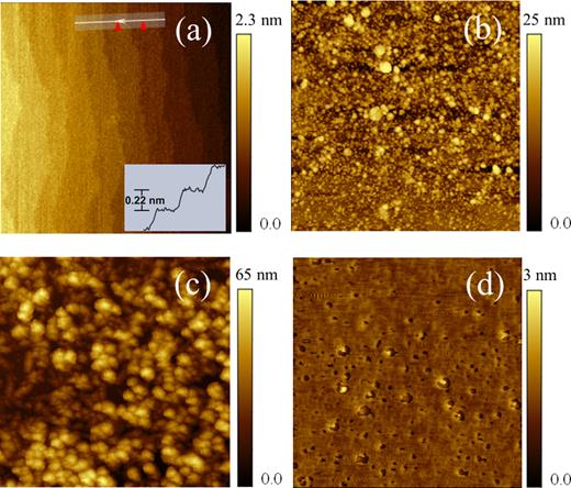 Synthesis of BiFeO3 thin films on single-terminated Nb : SrTiO3 (111 ...