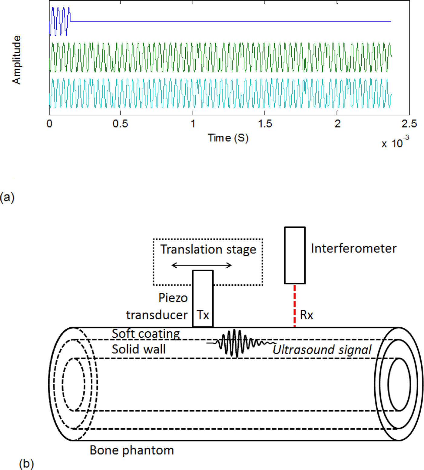 Coded excitation speeds up the detection of the fundamental flexural ...