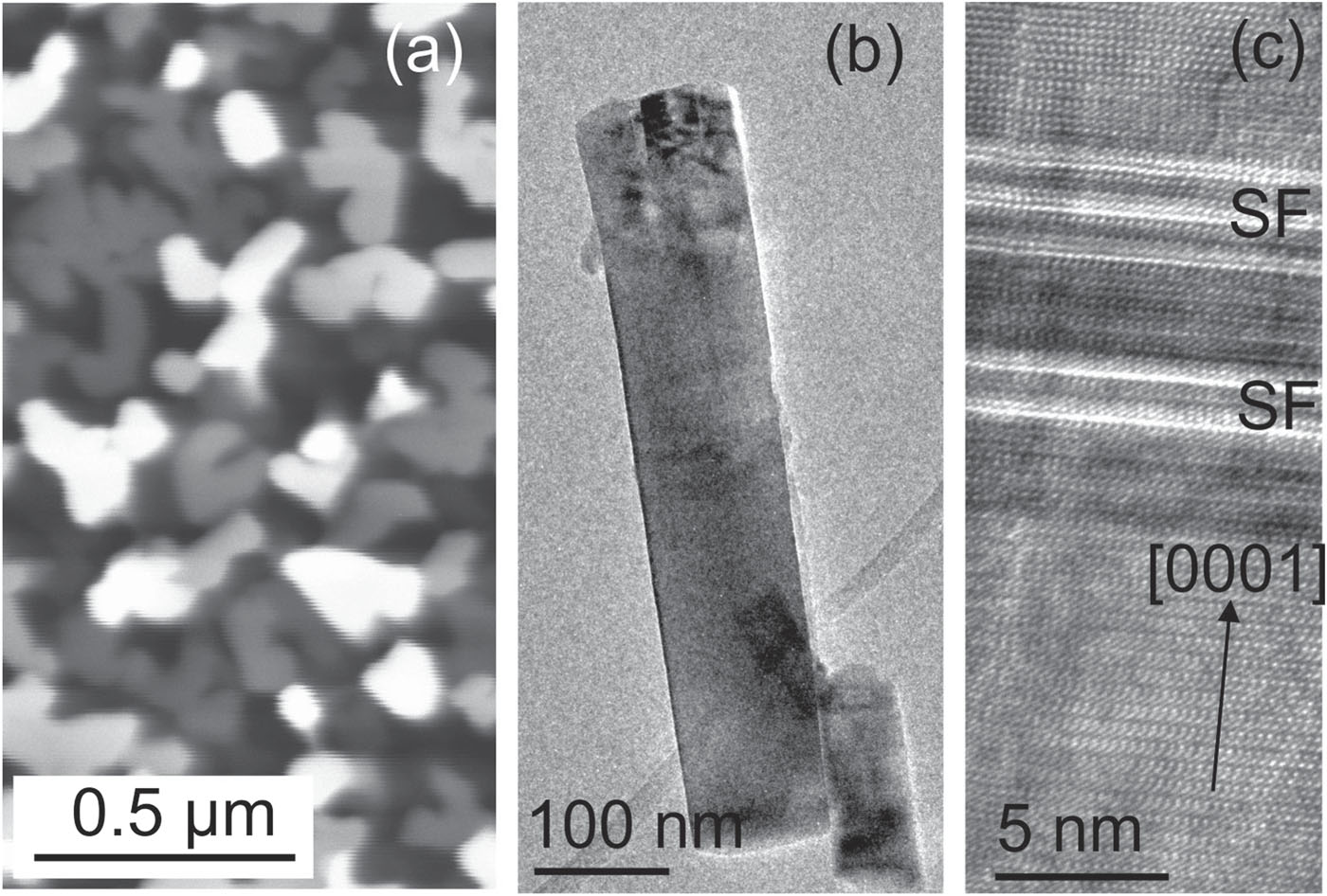 Polarization of stacking fault related luminescence in GaN nanorods ...