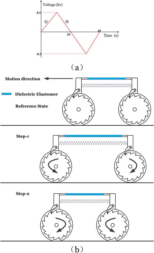 Soft electroactive actuators and hard ratchet-wheels enable ...