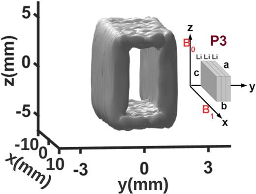 Visualizing electromagnetic fields in metals by MRI | AIP Advances ...