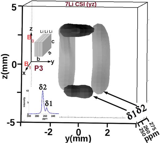 Visualizing electromagnetic fields in metals by MRI | AIP Advances ...