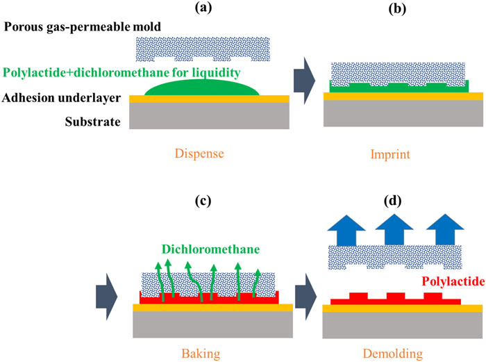 High-resolution nanopatterning of biodegradable polylactide by thermal ...