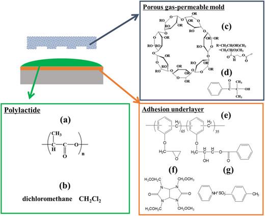 High-resolution nanopatterning of biodegradable polylactide by thermal ...