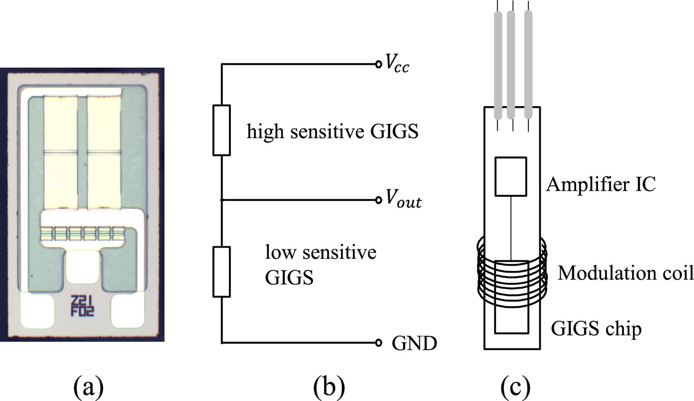 Absolute-magnetic-field measurement using nanogranular in-gap magnetic ...