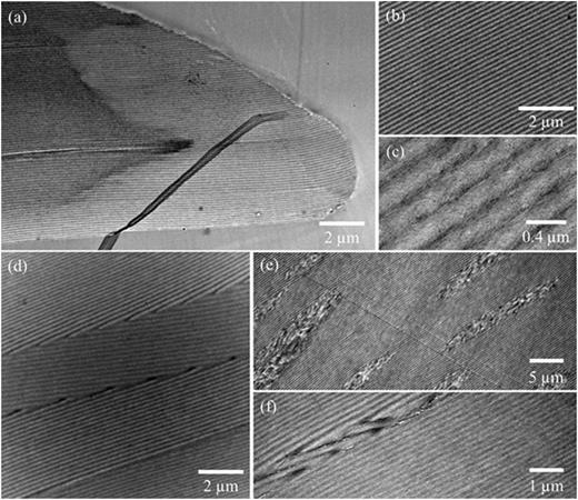 Reflection of circularly polarized light and the effect of particle ...