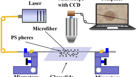 Plasmonic photothermal accumulation of particles by a microfiber ...