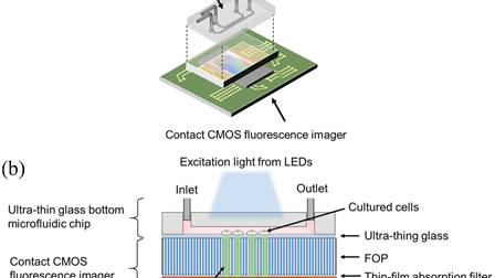 On-chip cell analysis platform: Implementation of contact fluorescence microscopy in ...
