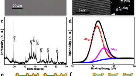 Angle-/temperature-dependence of Raman scattering in layered NbSe3 ...