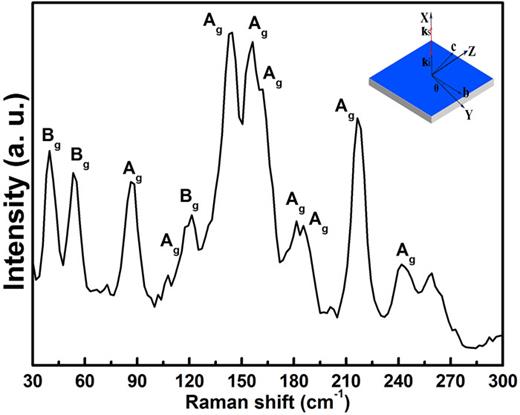 Angle-/temperature-dependence of Raman scattering in layered NbSe3 ...