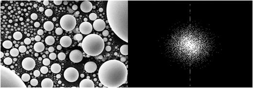 A simplified focusing and astigmatism correction method for a scanning ...