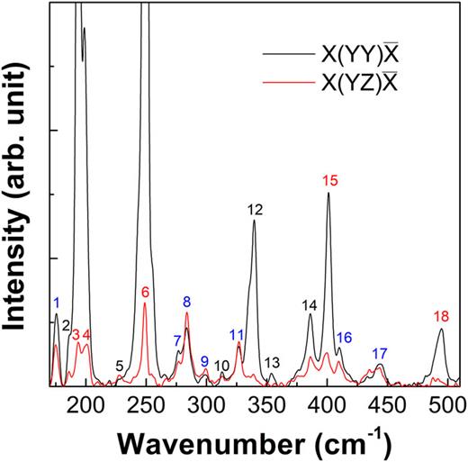 Polarized Raman spectra of β-FeSi2 epitaxial film grown by molecular ...
