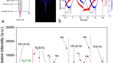 NO2- and NO3- enhance cold atmospheric plasma induced cancer cell death by generation of ONOO ...