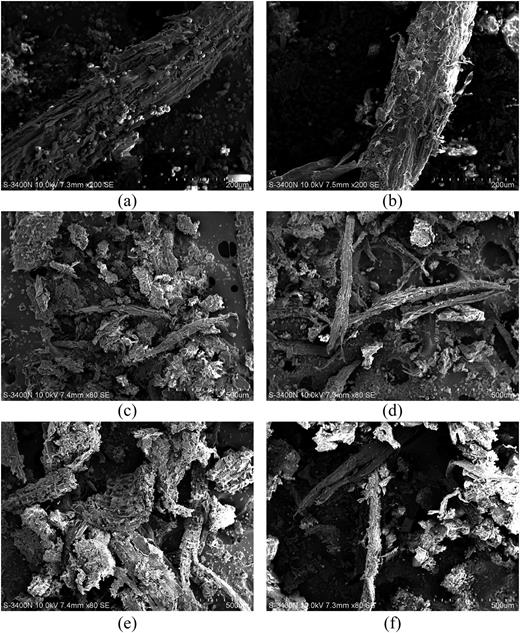 Dietary fibres from cassava residue: Physicochemical and enzymatic ...