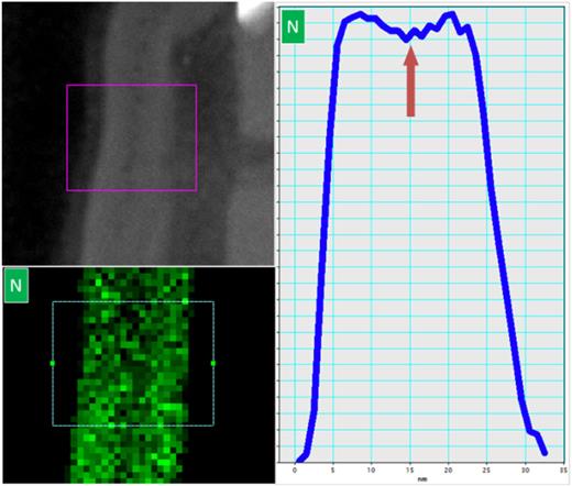 Electron-beam radiation induced degradation of silicon nitride and its ...