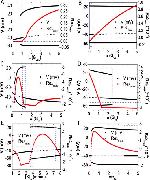 Annihilation of the pacemaking activity in the sinoatrial node cell and ...