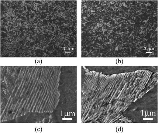 Microstructure and properties of as-cast 30Mn steel | AIP Advances ...