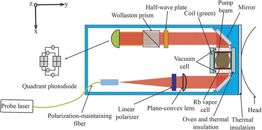 Magnetoencephalography using a compact multichannel atomic magnetometer ...