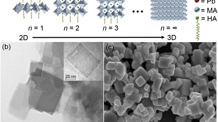 Quantum confinement effect and exciton binding energy of layered ...