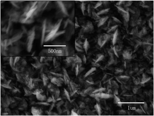 Application of surface enhanced Raman scattering and competitive ...