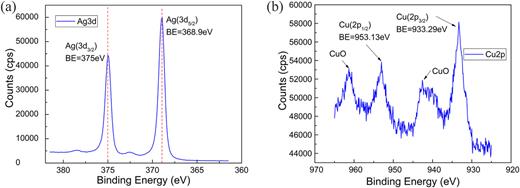 Application of surface enhanced Raman scattering and competitive ...