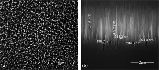 A theoretical study on the optical properties of black silicon | AIP ...