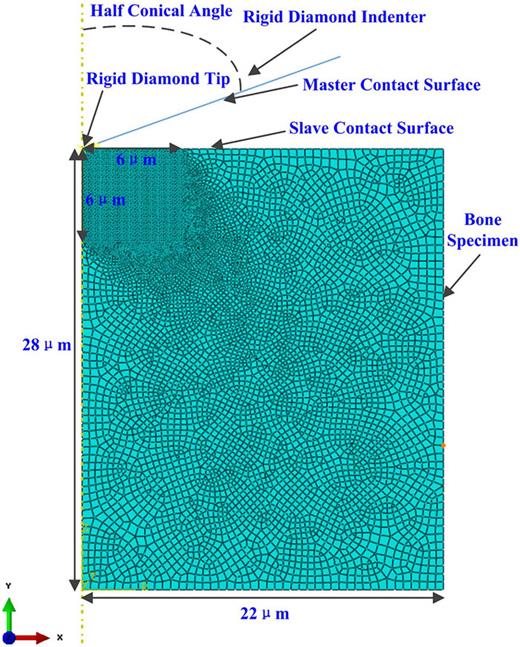 Influence and evolution mechanism of different sharpness contact forms ...