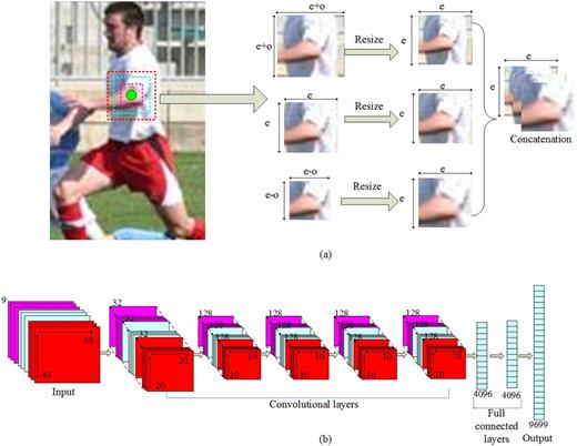 Hierarchical graphical-based human pose estimation via local multi-resolution convolutional ...
