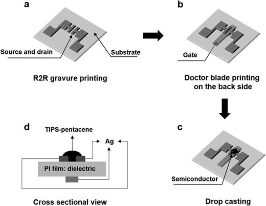 Solution processed flexible organic thin film back-gated transistors ...