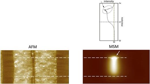TMR tape drive for a 15 TB cartridge | AIP Advances | AIP Publishing