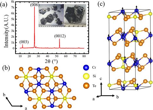 The direct observation of ferromagnetic domain of single crystal ...