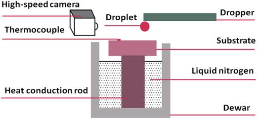 Morphology of supercooled droplets freezing on solid surfaces | AIP ...