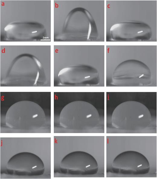 Morphology of supercooled droplets freezing on solid surfaces | AIP ...