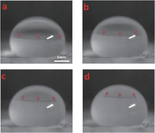 Morphology of supercooled droplets freezing on solid surfaces | AIP ...