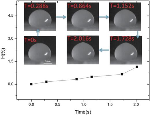 Morphology of supercooled droplets freezing on solid surfaces | AIP ...