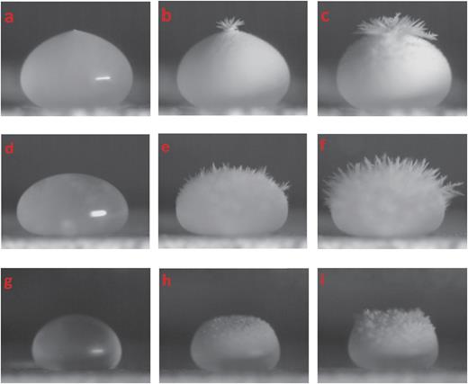 Morphology of supercooled droplets freezing on solid surfaces | AIP ...