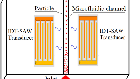 Standing wave performance test of IDT-SAW transducer prepared by silk ...