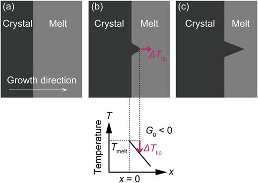 In-situ observation of instability of a crystal–melt interface during ...