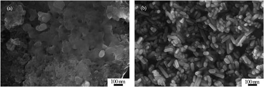 Nucleation and growth of hydroxyapatite nanocrystals by hydrothermal ...