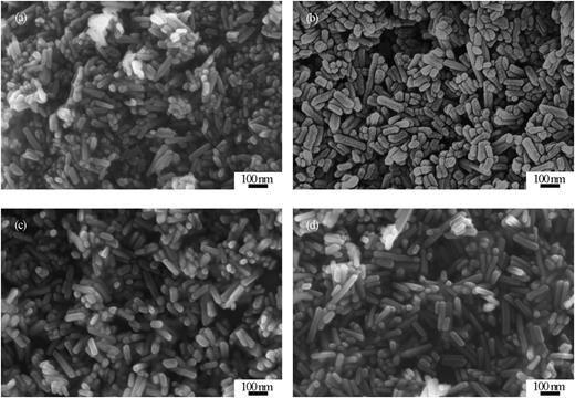 Nucleation and growth of hydroxyapatite nanocrystals by hydrothermal ...