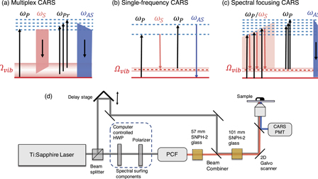Application of spectral-focusing-CARS microscopy to pharmaceutical ...