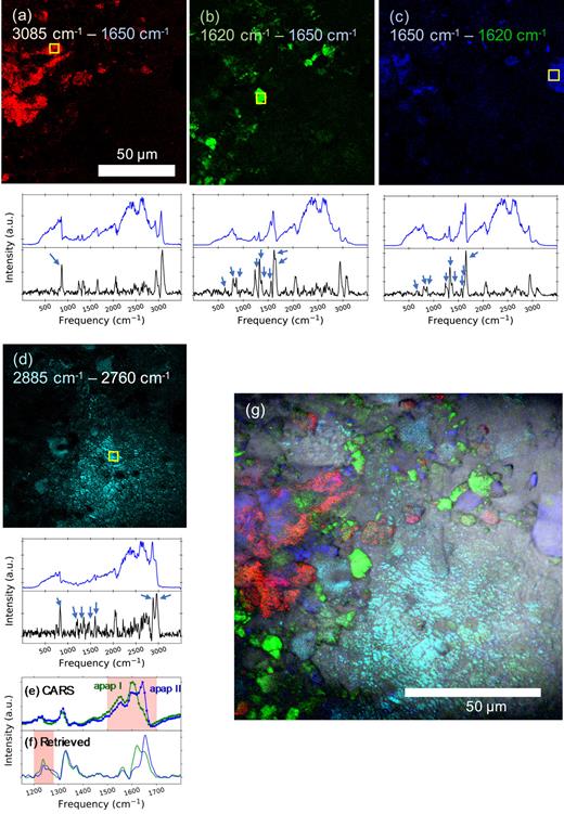 Application of spectral-focusing-CARS microscopy to pharmaceutical ...