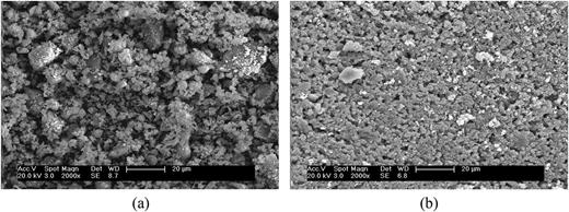 Potential uses and cementing mechanism of bio-carbonate cement and bio ...